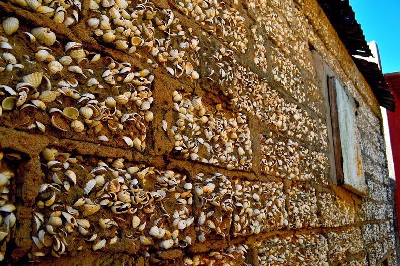 Shell Island – Expedition Subsahara