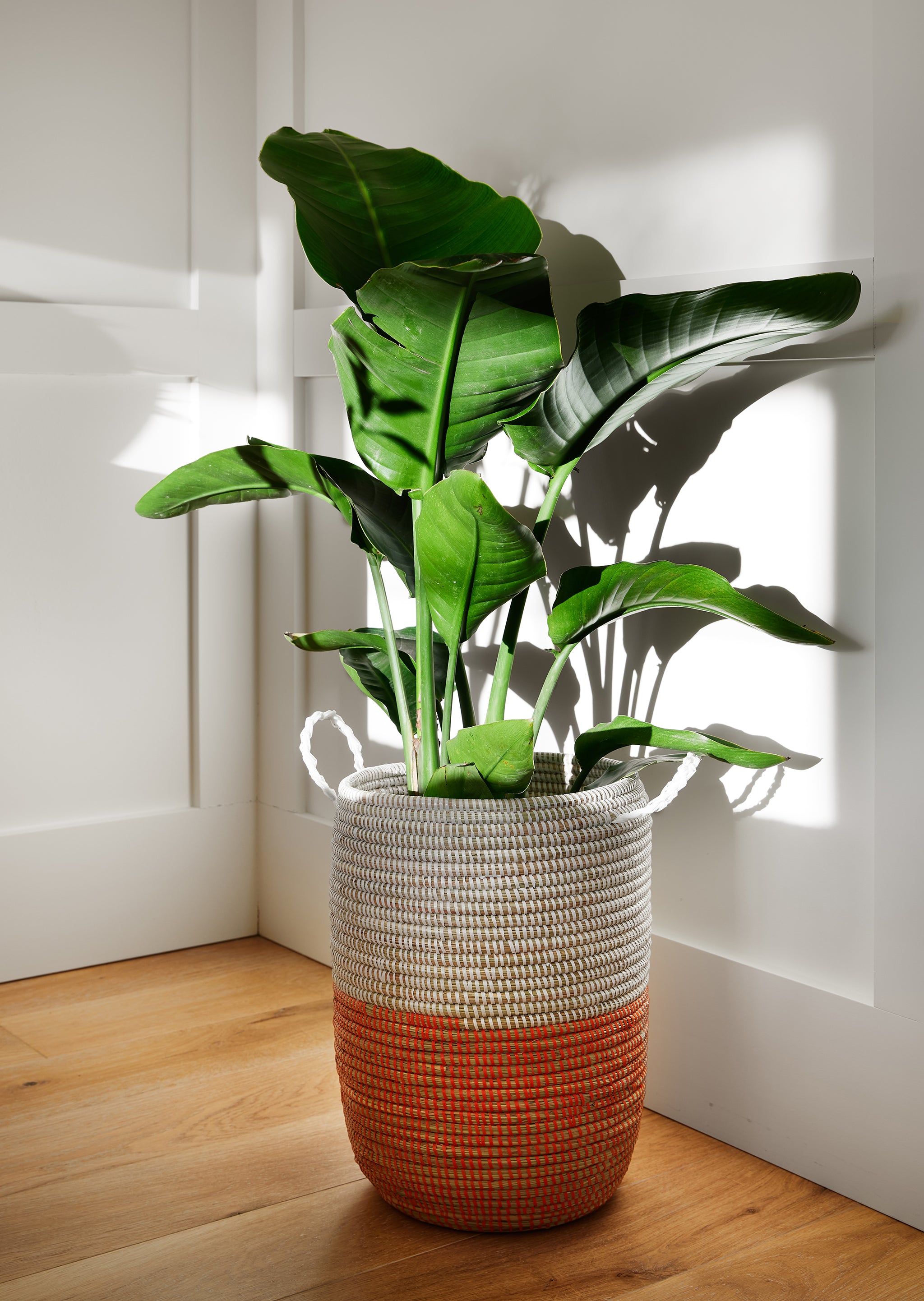 Woven Storage Bins – Handcrafted African Design | Expedition Subsahara